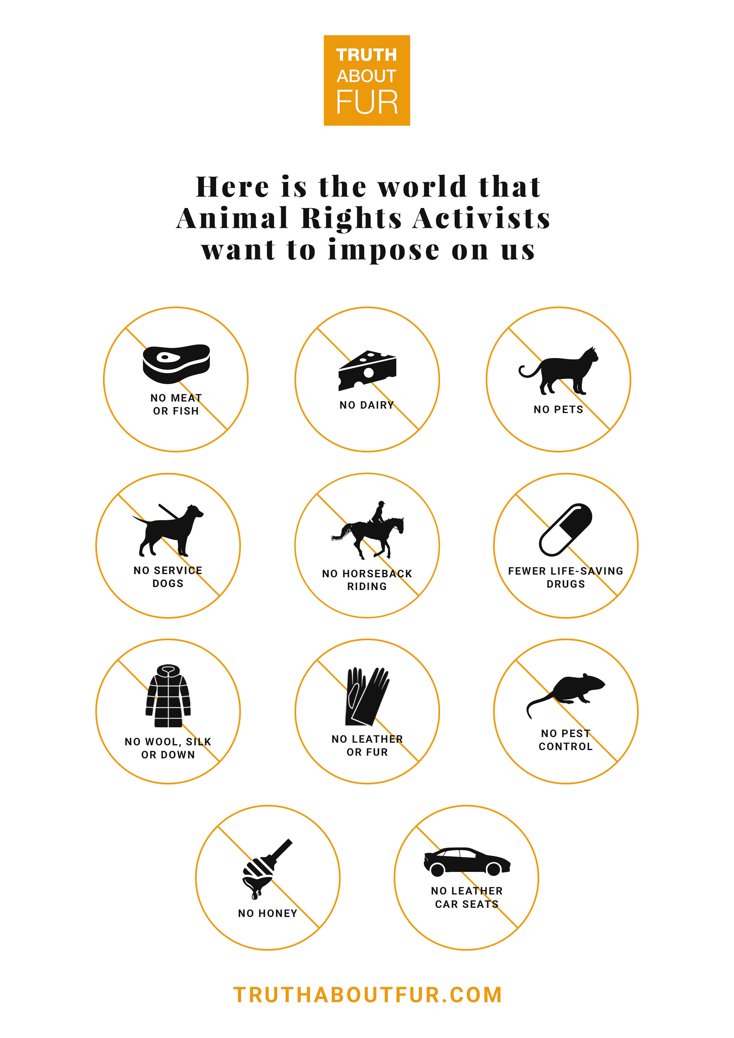 Animal Welfare Vs Animal Rights An Important Distinction